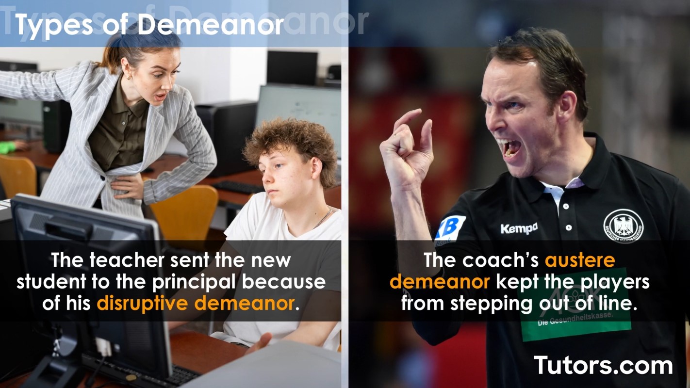 Demeanor Meaning And Examples