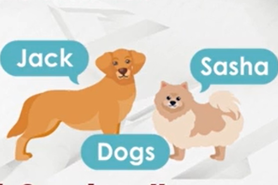Comma Splice — Examples and How to Fix Them